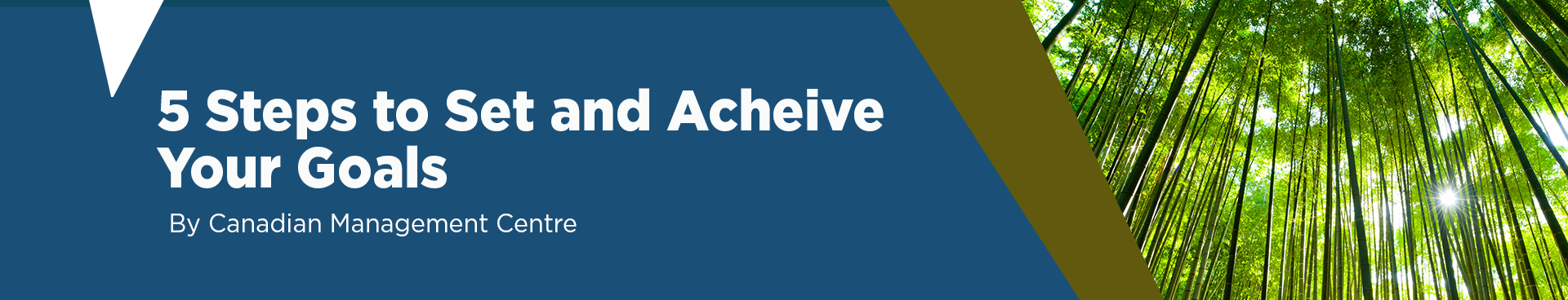 5 Steps to Set and Achieve Your Goals | Canadian Management Centre